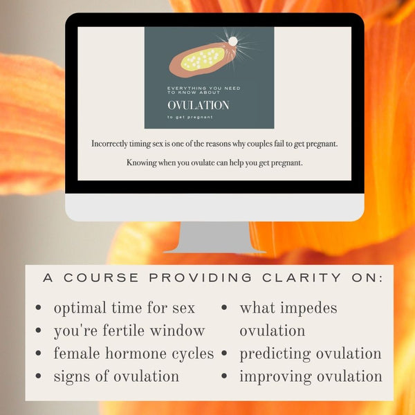 All You Need to Know About Ovulation to Get PREGNANT – Cultivate Fertility